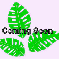 Musa textilis / IPlantz