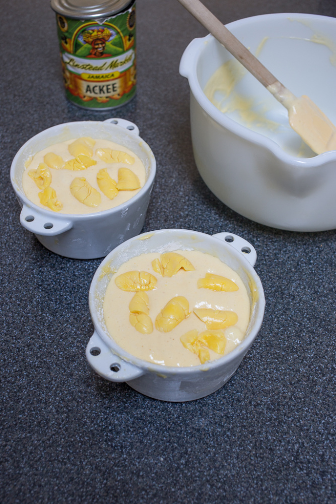 Blighia sapida / IPlantz