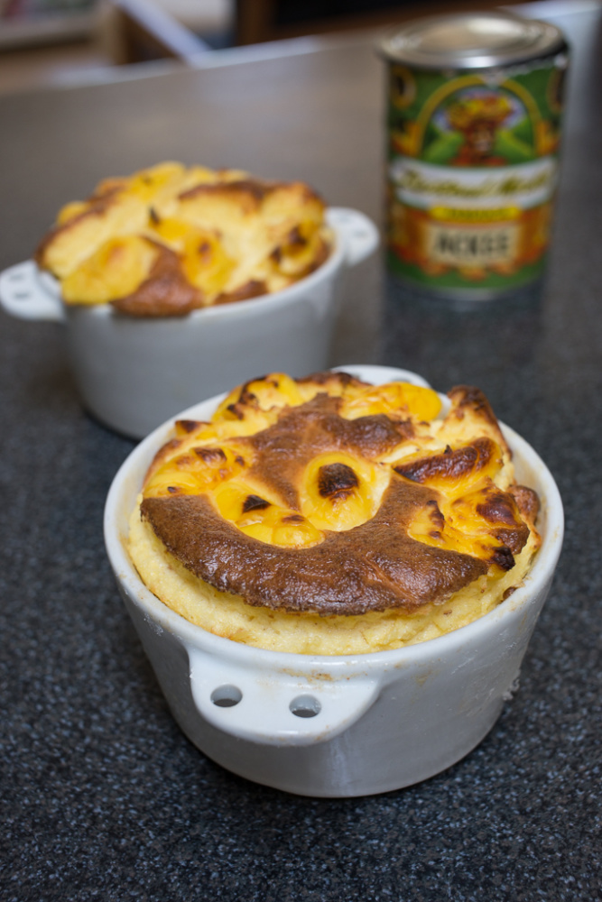 Blighia sapida / IPlantz