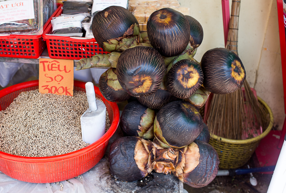 Borassus flabellifer / IPlantz