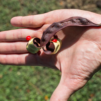 Adenanthera pavonina / IPlantz