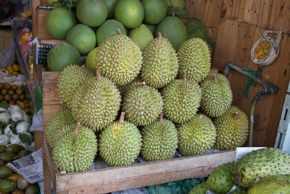 Durio zibethinus / IPlantz