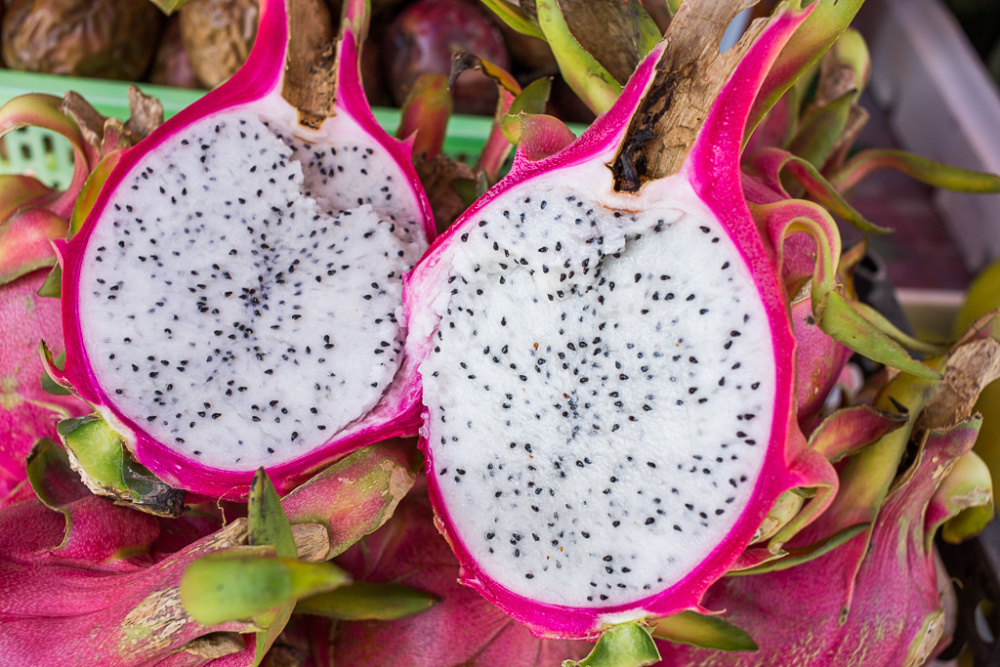 Hylocereus undatus / IPlantz