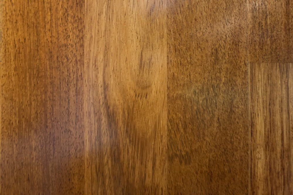 Intsia bijuga / IPlantz