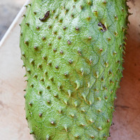 Annona muricata / IPlantz