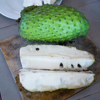 Annona muricata / IPlantz