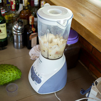 Annona muricata / IPlantz